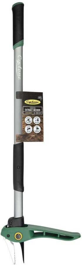 Steam weeder bunnings store